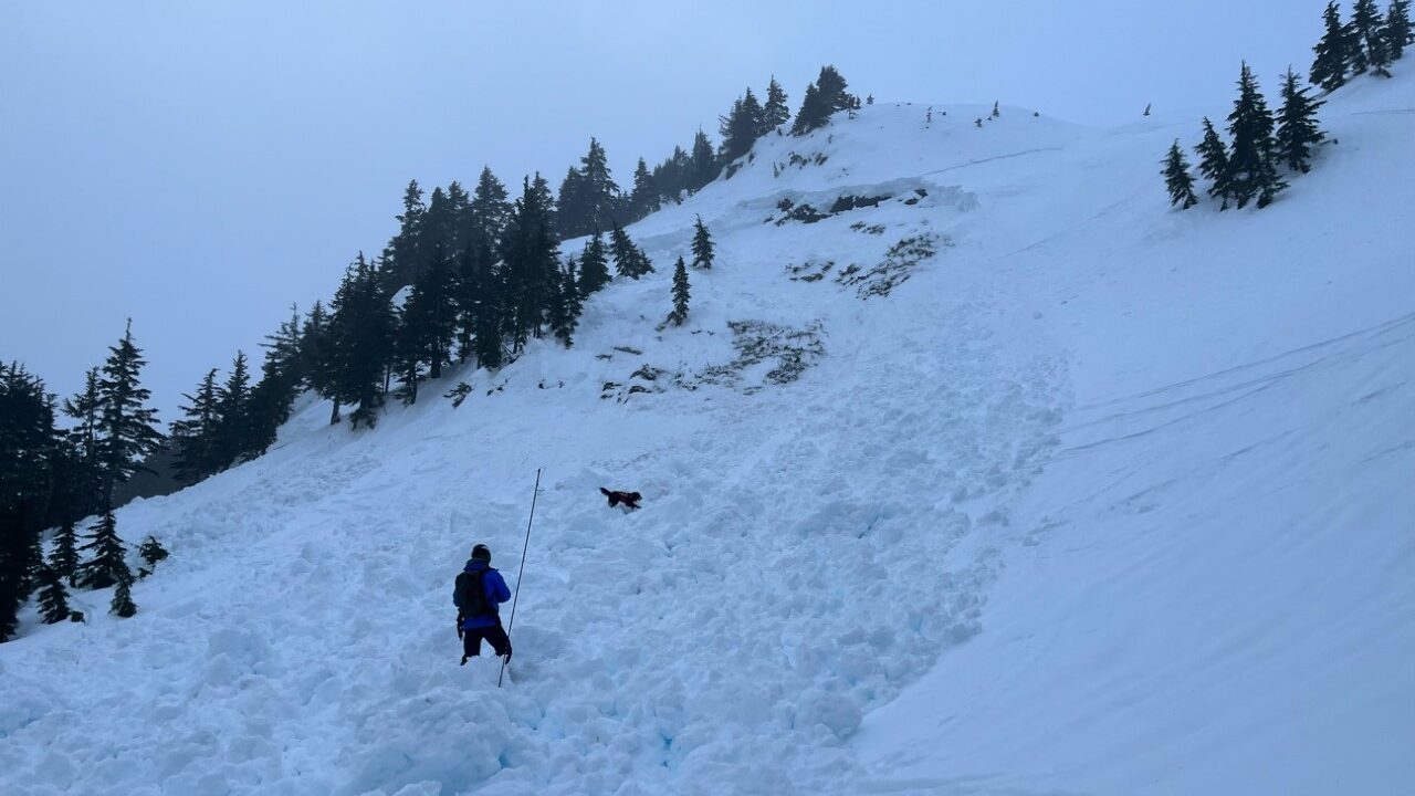 Fluctuating winter weather in Juneau set the stage for an avalanche at ...