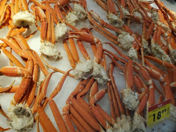 10 billion snow crabs disappeared from the Bering Sea. Scientists and fishermen are working to ...