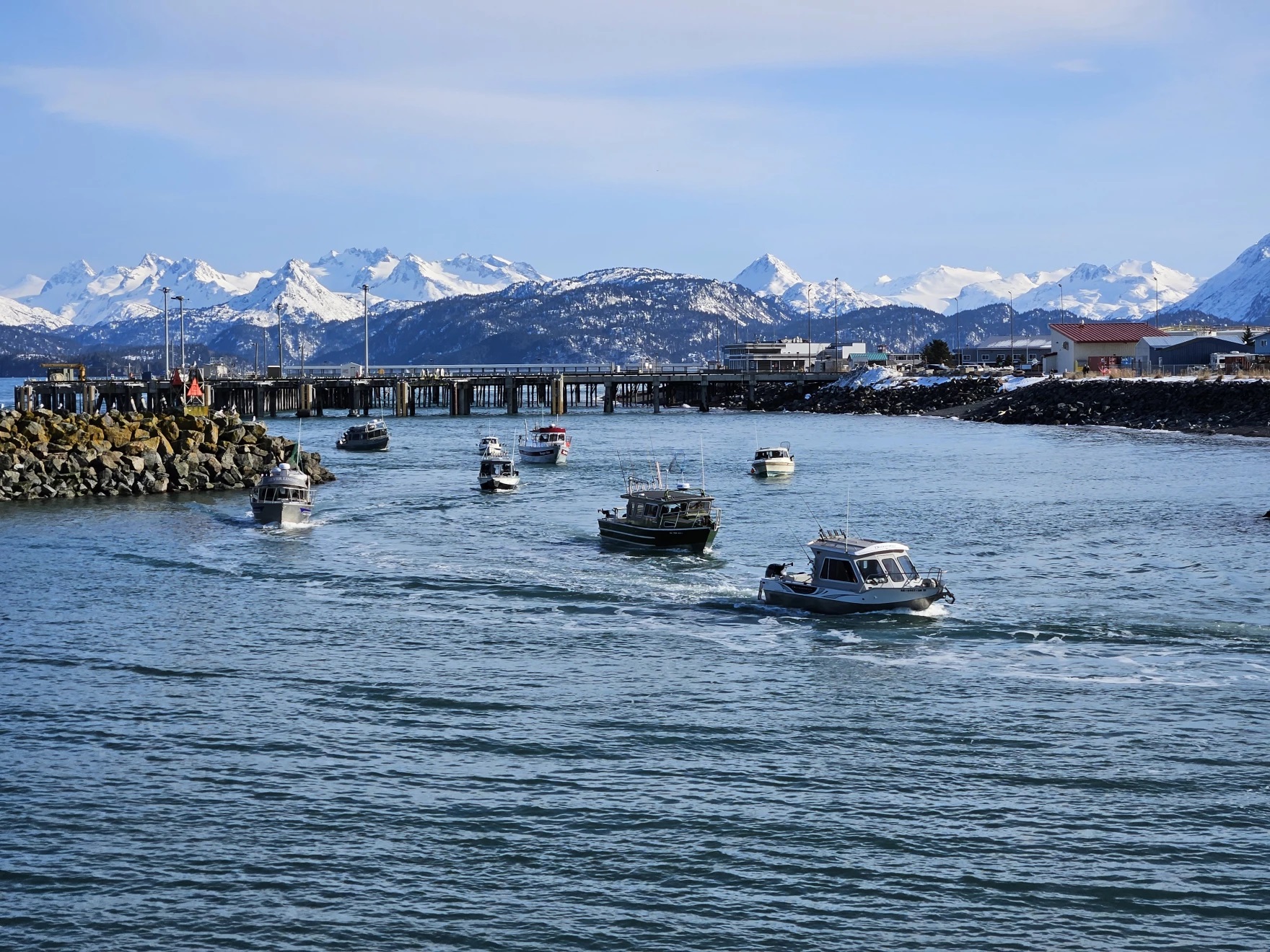 Homer salmon tournament sees record participation, but Kenai kings face ...