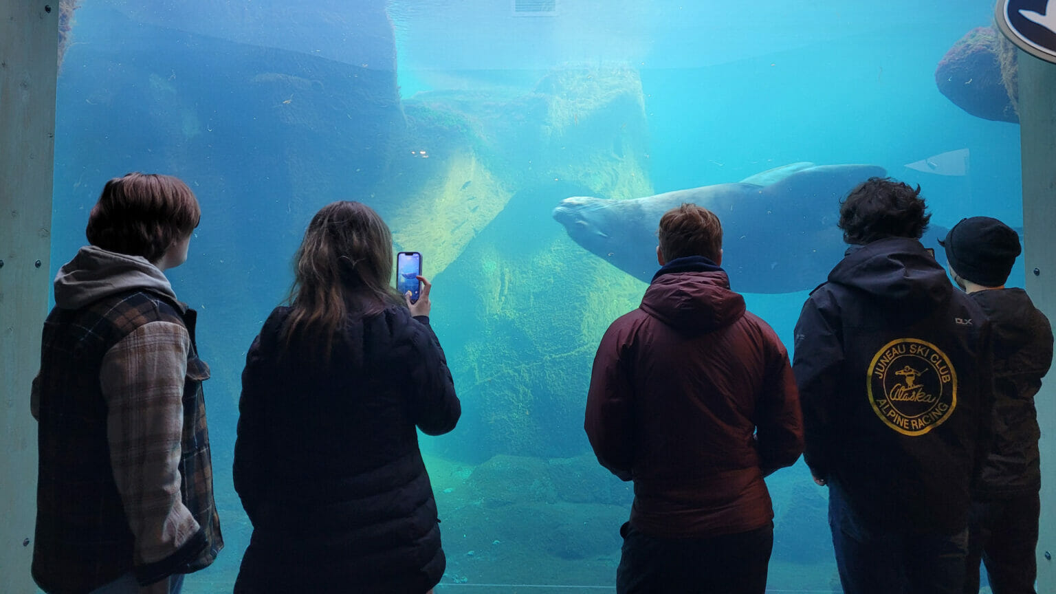 Juneau teams sweep at statewide ocean sciences competition