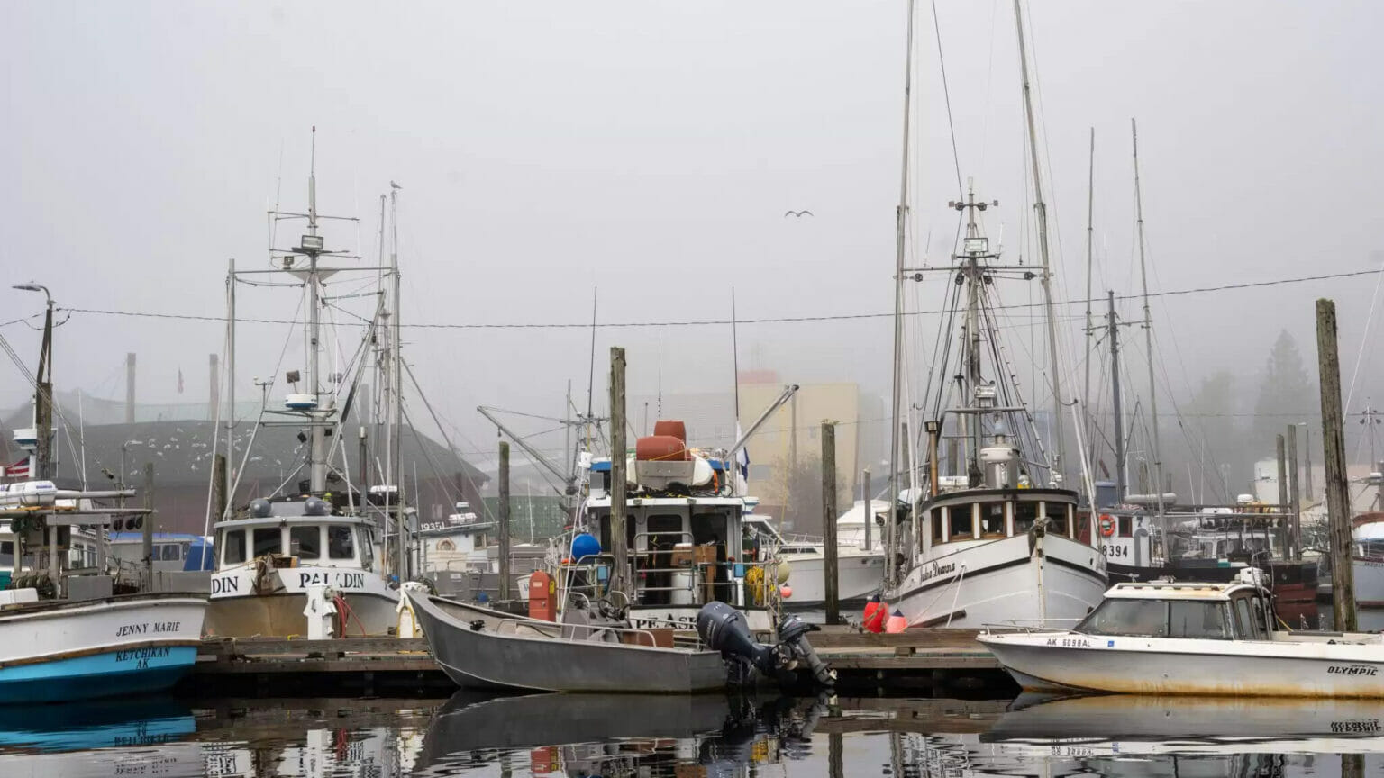 Legislature passes resolution to protect Southeast Alaska troll fishery