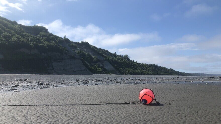 Months before season begins, state closes most Cook Inlet king salmon ...