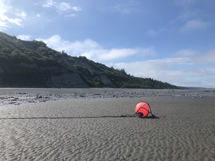 Months before season begins, state closes most Cook Inlet king salmon ...
