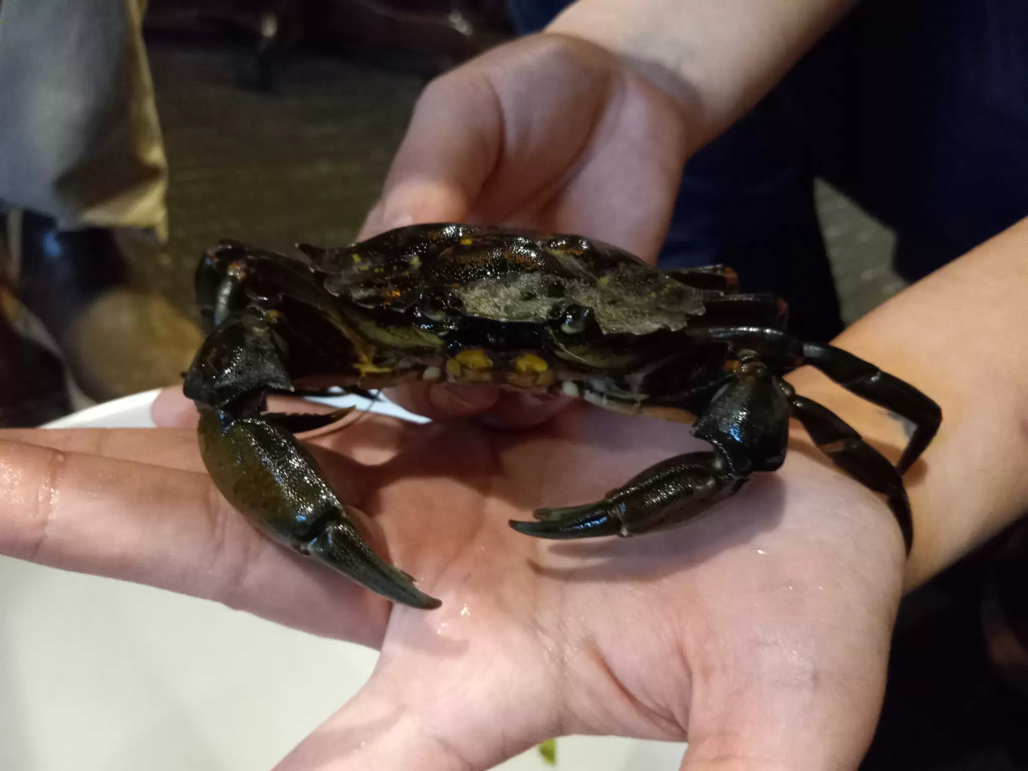 In Metlakatla, people from across Southeast learn how to watch for ...