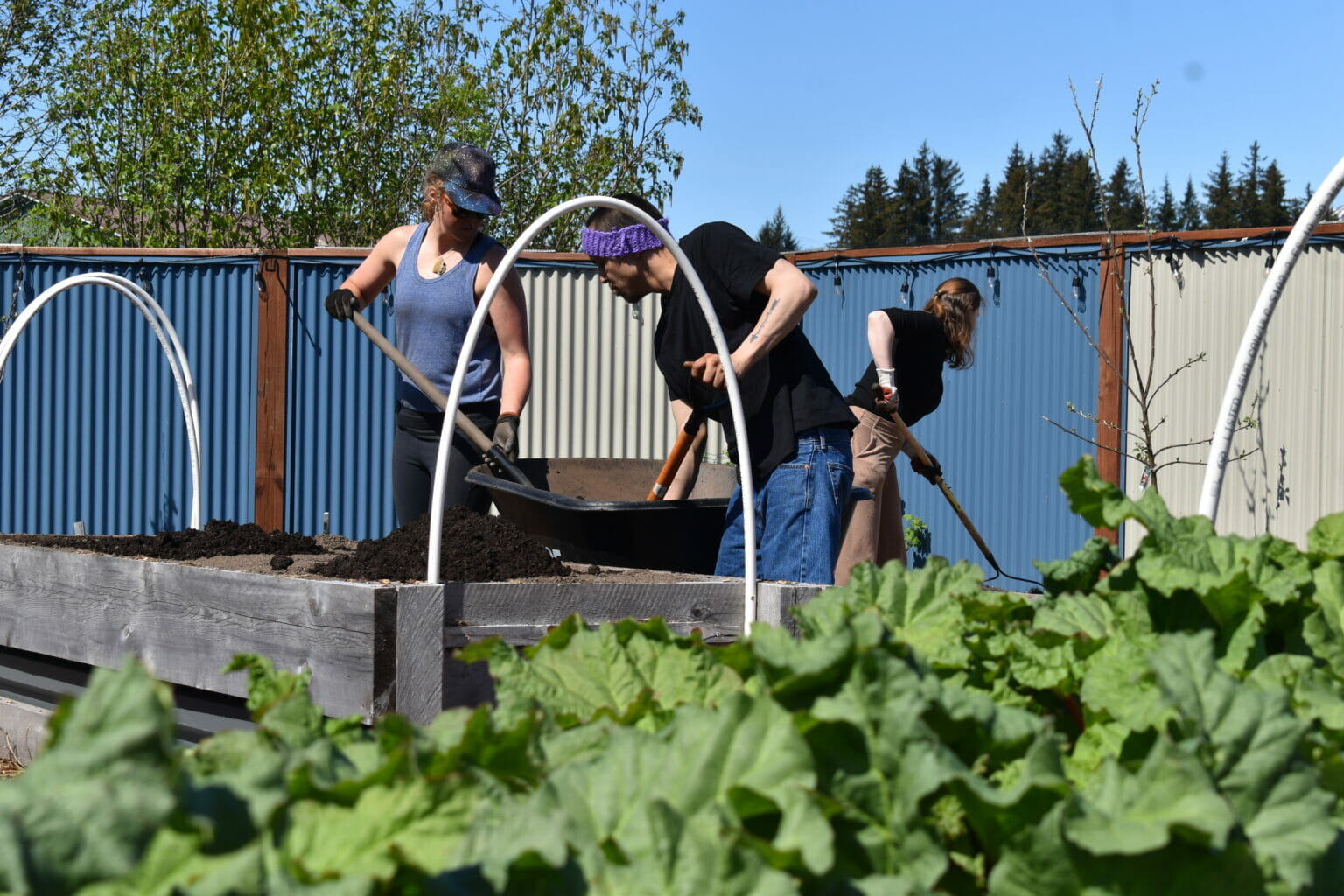 Glory Hall residents dig in to their community garden