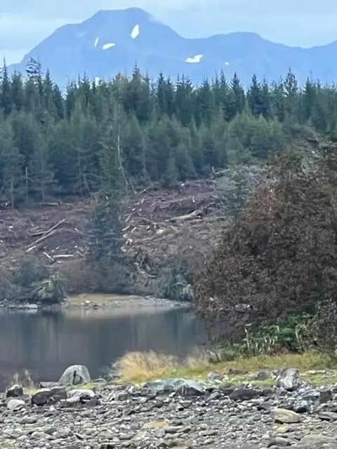 Yak Timber files for bankruptcy after its parent company, the village ...