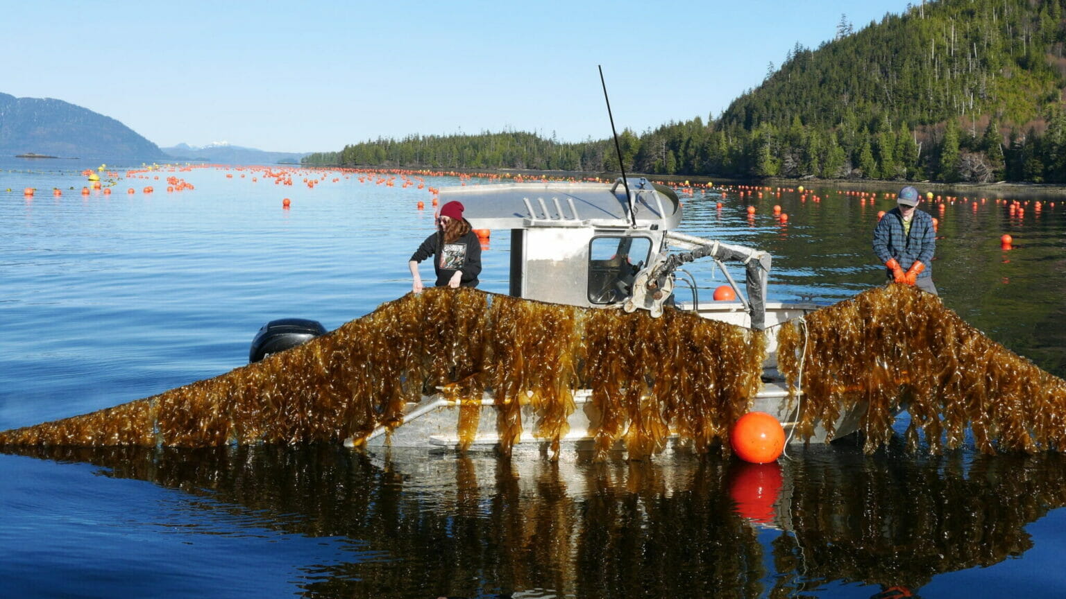 Alaska Native-led green banks are starting up in Alaska