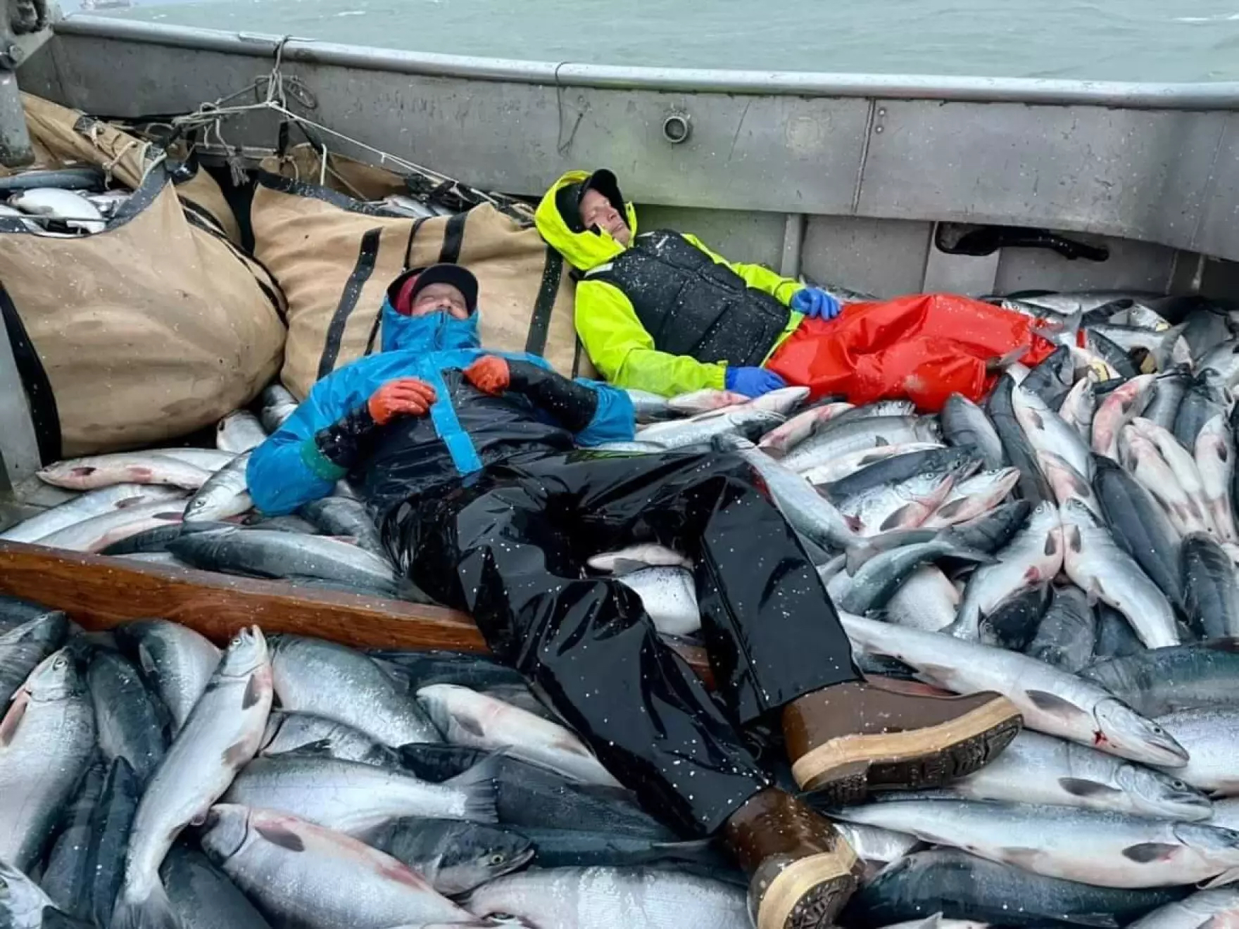 USDA to buy nearly $70M worth of Alaska sockeye for food assistance ...
