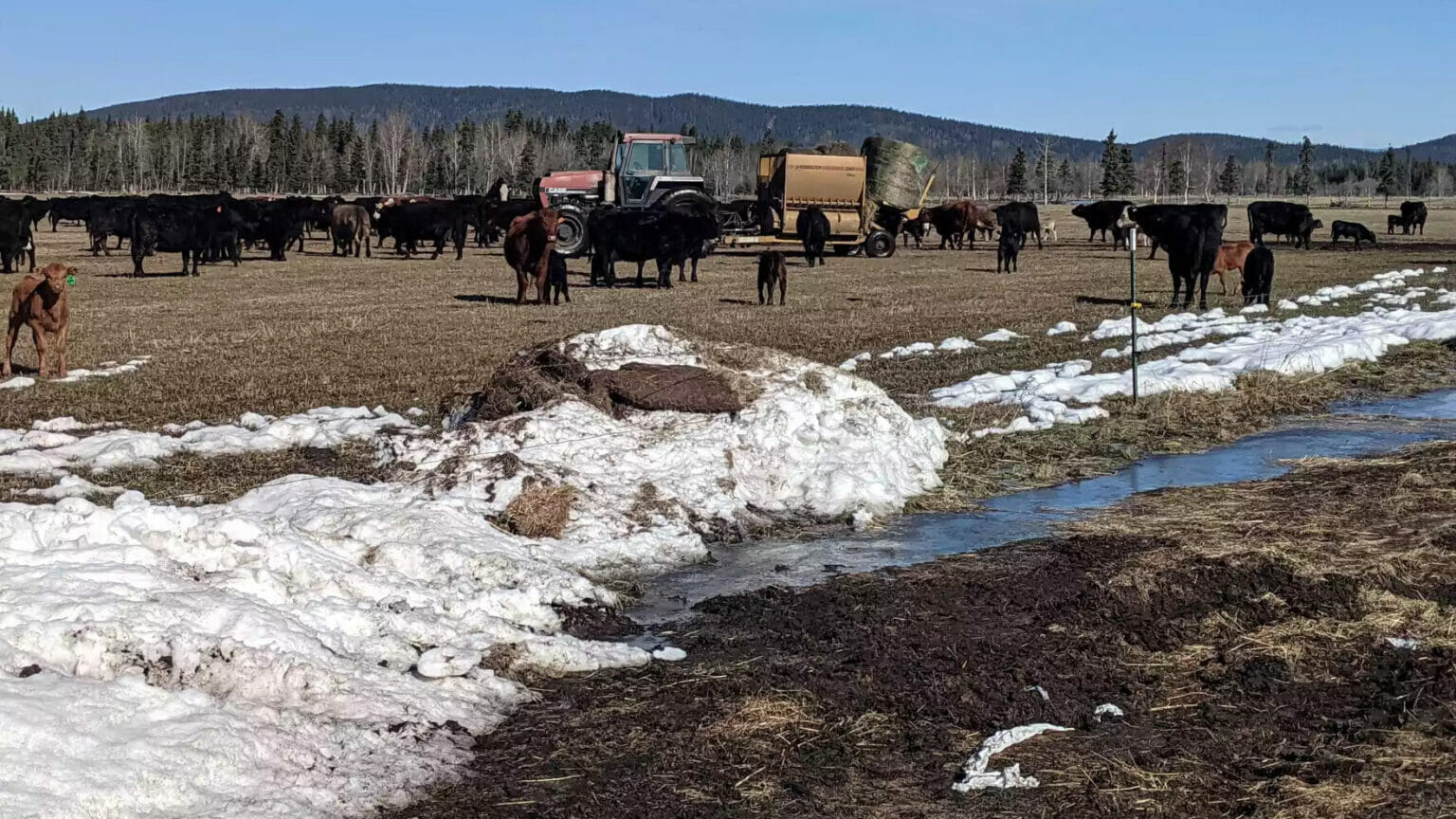 Alaska farmers worry about poor harvest as cool weather delays planting