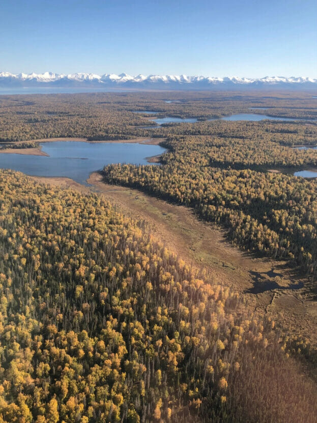 Invasive pike can use Cook Inlet to travel between freshwater systems ...