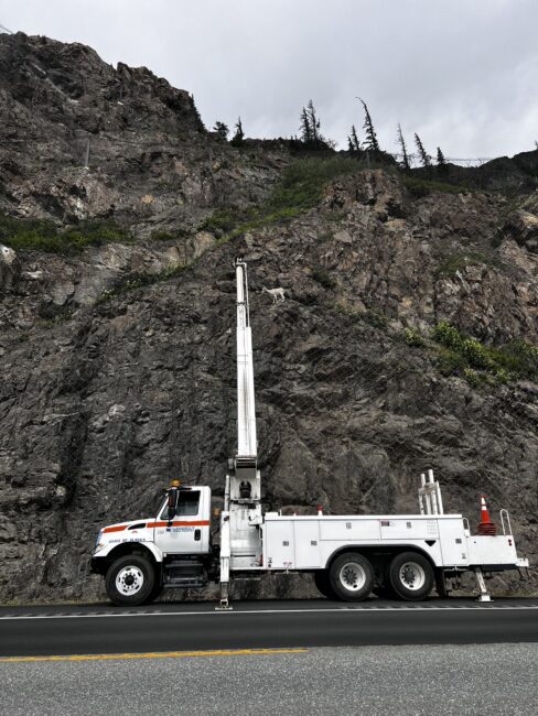 Roadside assistance? Alaska DOT helps sheep stuck along the Seward Highway