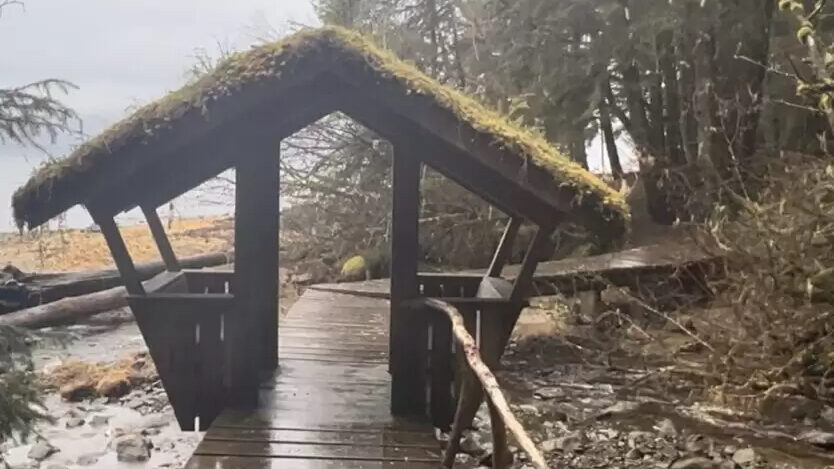 Audubon Alaska launches virtual birdwatching trail for Southeast Alaska
