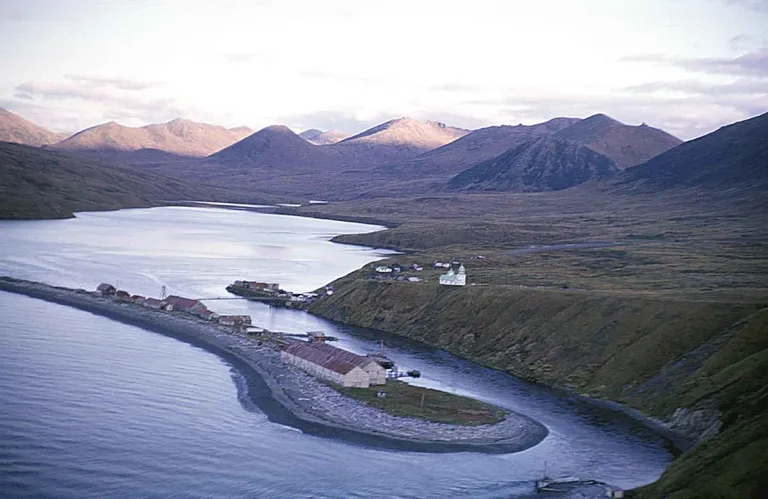 Thousands respond to Karluk’s viral ad for cost-free living