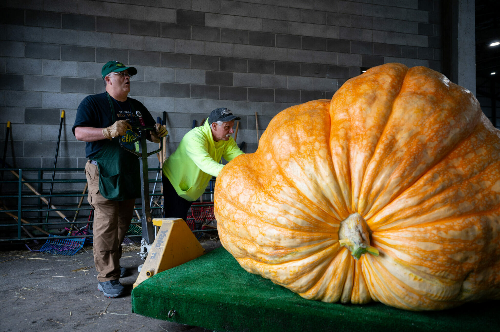 Dale Marshall remains the undisputed giant of Alaska’s pumpkin patch