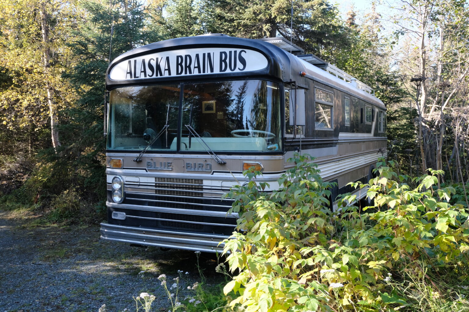 Alaska doctor wheels hope to survivors of traumatic brain injury in his ‘Brain Bus’
