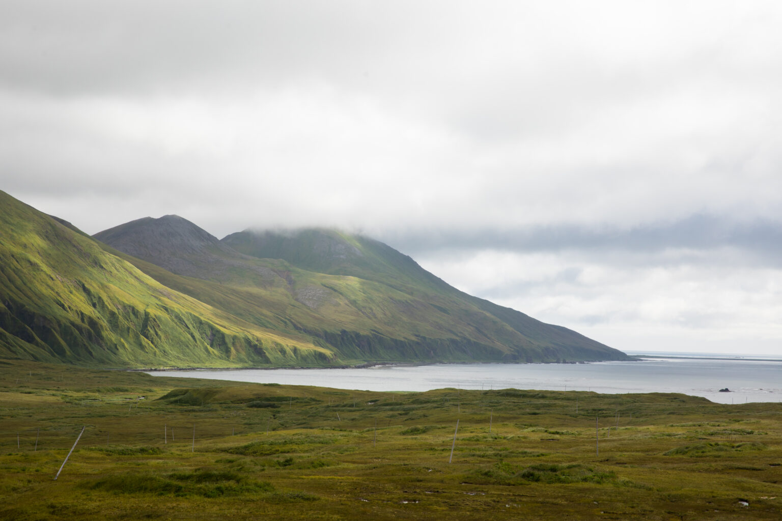 Ecosystem reports show continuing effects of warming in Alaska’s marine ...