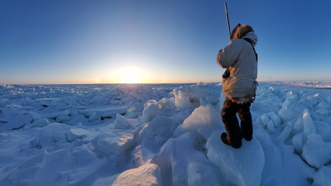 'The time for action is now': NOAA’s Arctic Report Card paints a dire ...