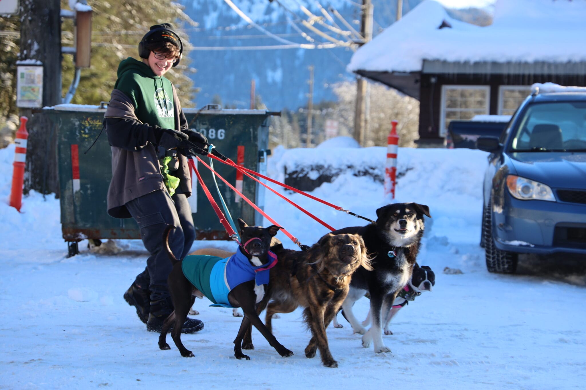 CDC simplifies controversial new regs for crossing borders with dogs
