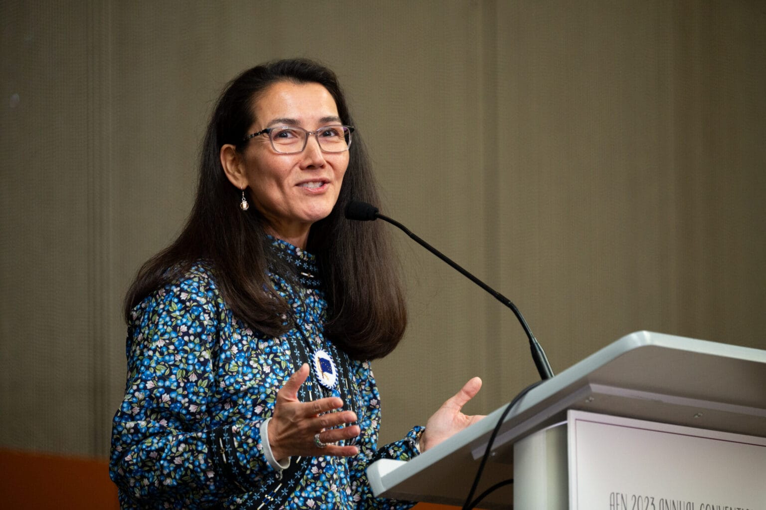 Peltola defies party with votes on border enforcement and arms for Israel