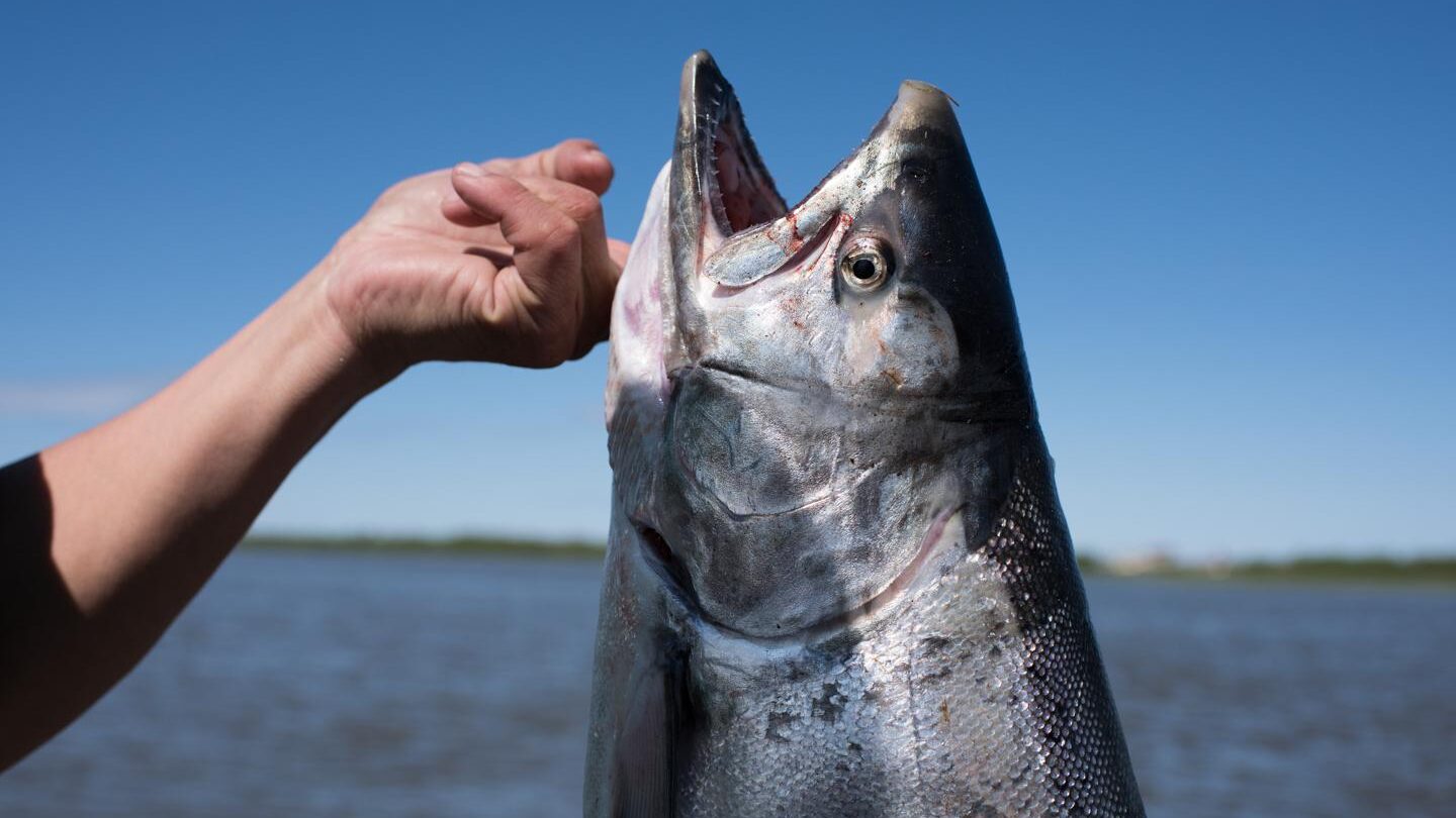 Judge rules for the feds in a lawsuit against the state of Alaska over ...