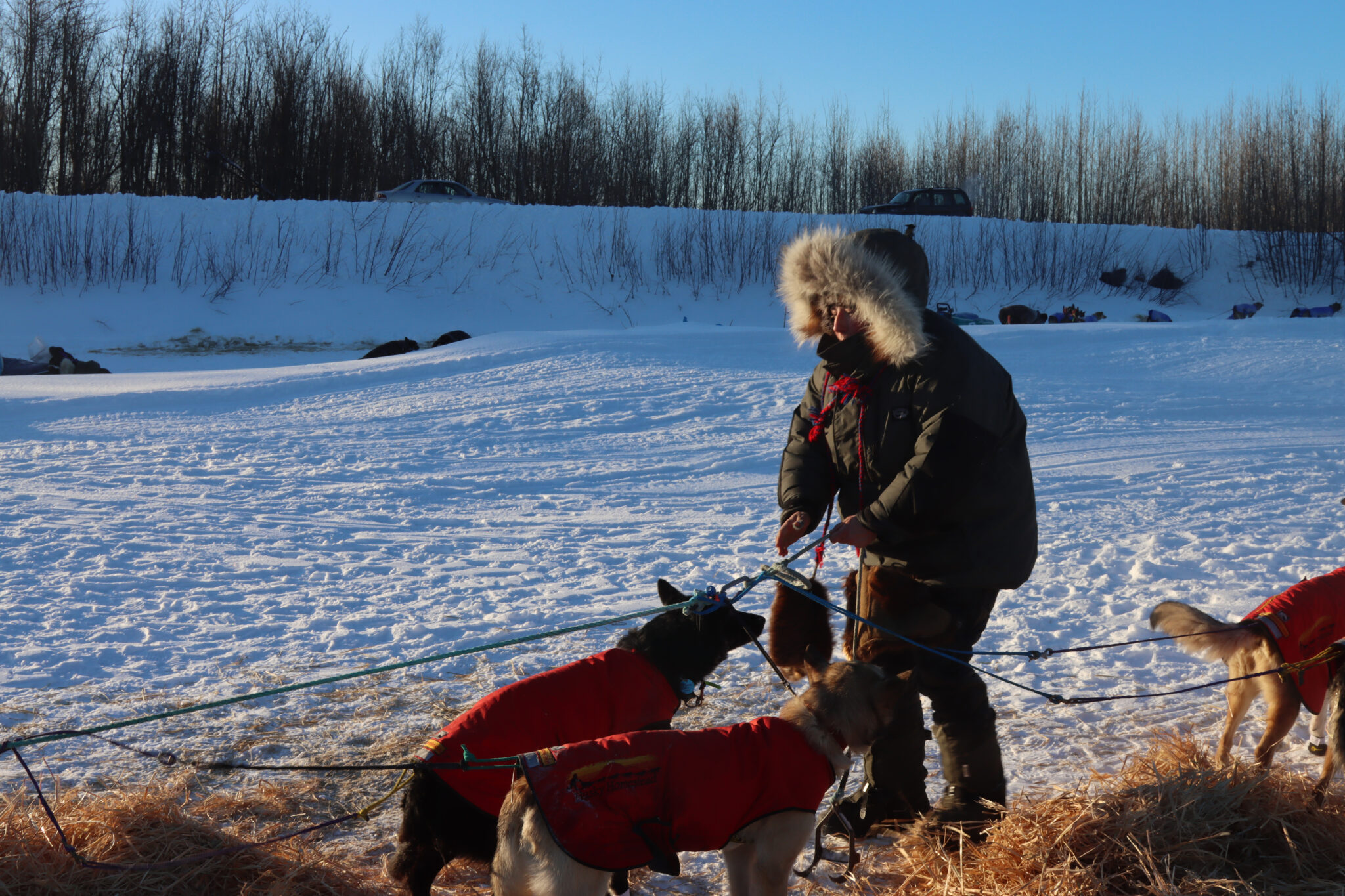 For the first time, 4 women mushers have finished in the Iditarod’s top 10