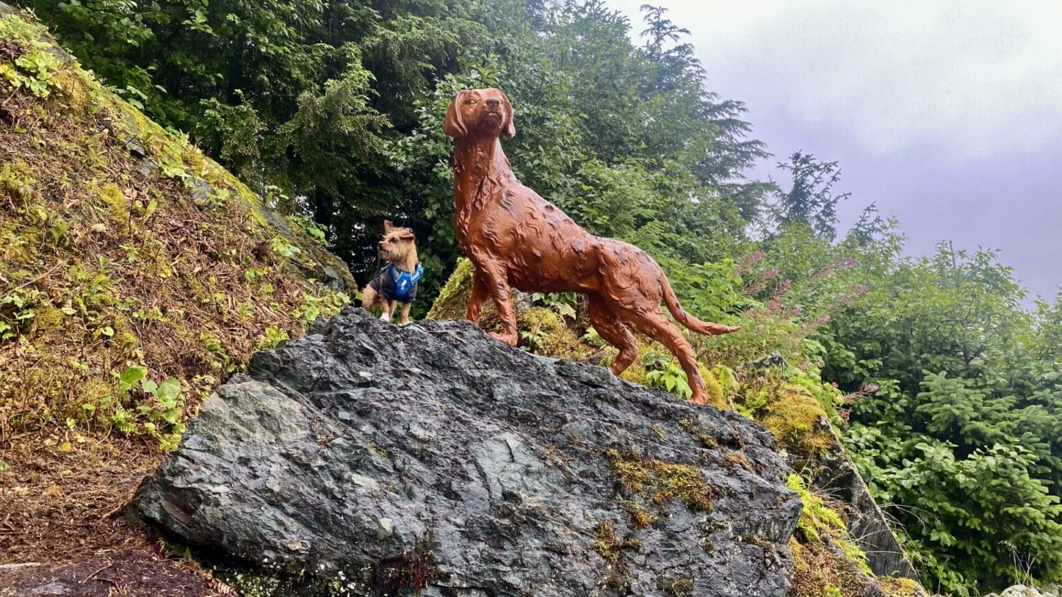 New statue at Tee Harbor commemorates mythical sole survivor of the SS ...