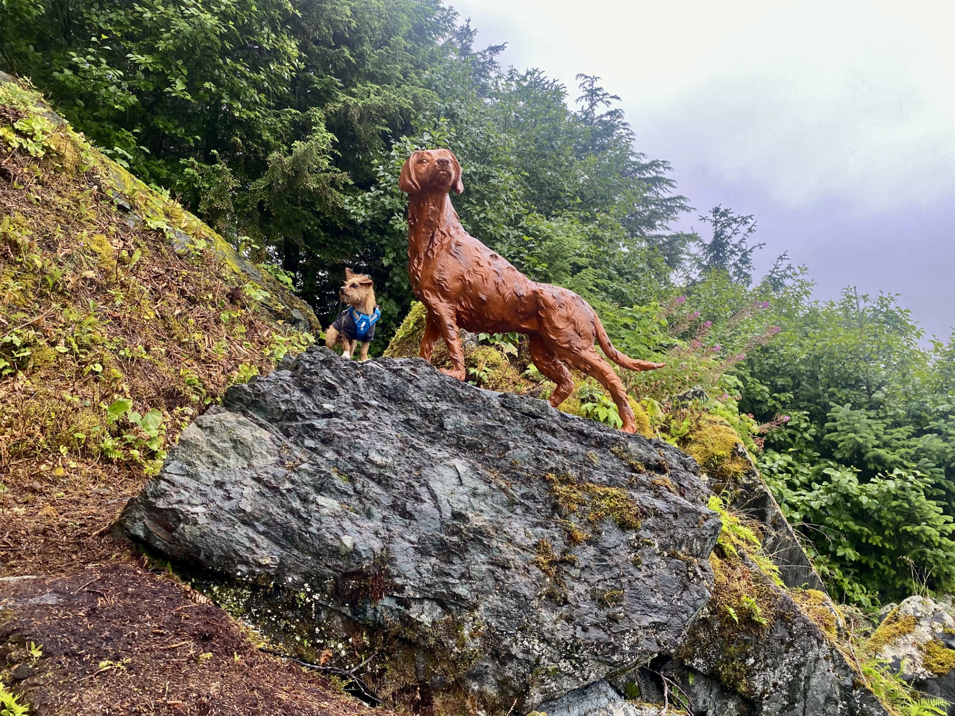 New statue at Tee Harbor commemorates mythical sole survivor of the SS ...
