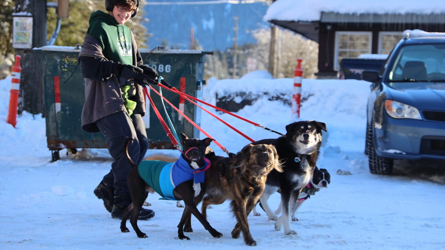 CDC simplifies controversial new regs for crossing borders with dogs