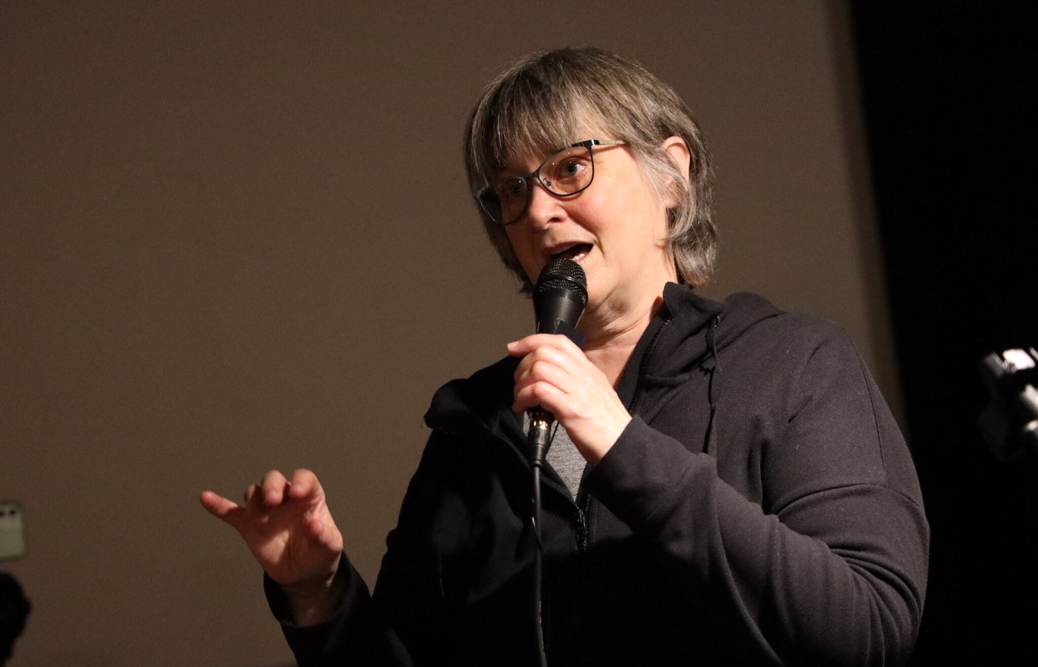 Juneau activists make case for "Ship-Free Saturdays" as opposition ...