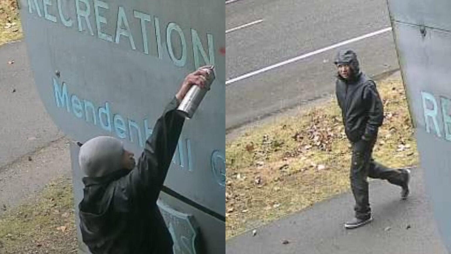 Police arrest Juneau man suspected of painting swastikas around ...