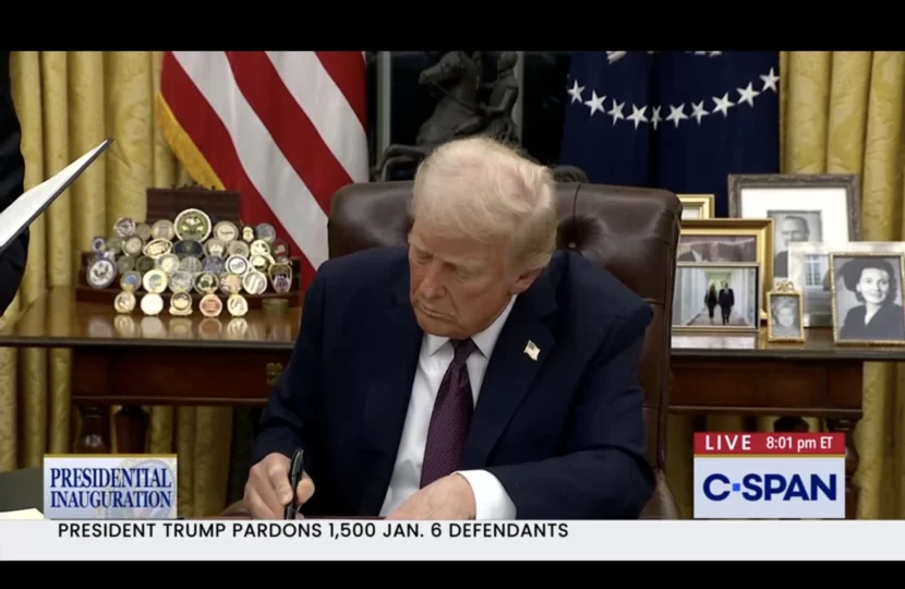 With Trump’s new pro-timber order, Alaska conservationists poised to ...