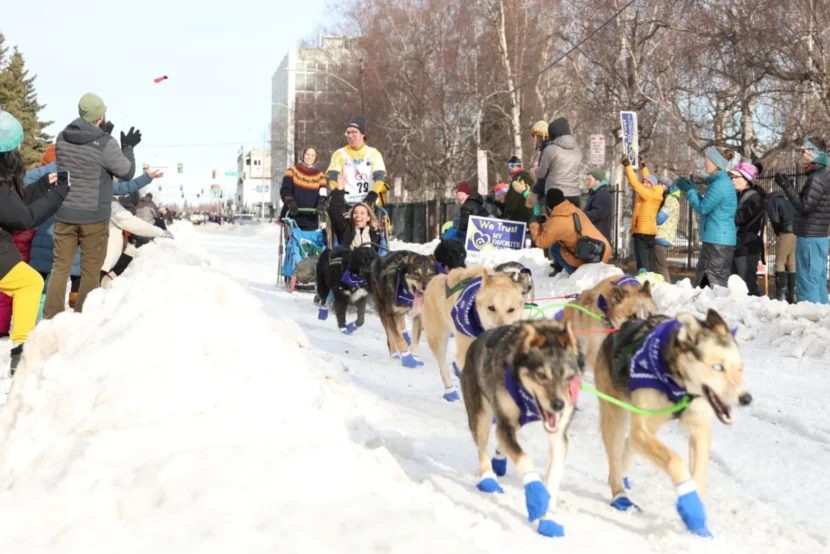 This Iditarod musher is racing with mostly rescue dogs from Alaska shelters