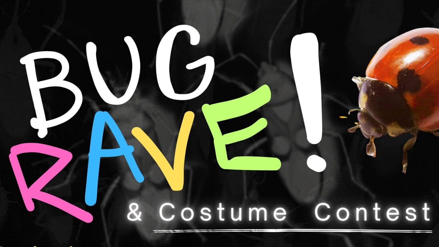 Halloween Bug Rave, Juneau Ski Sale, Public Radio Music Day, and ...
