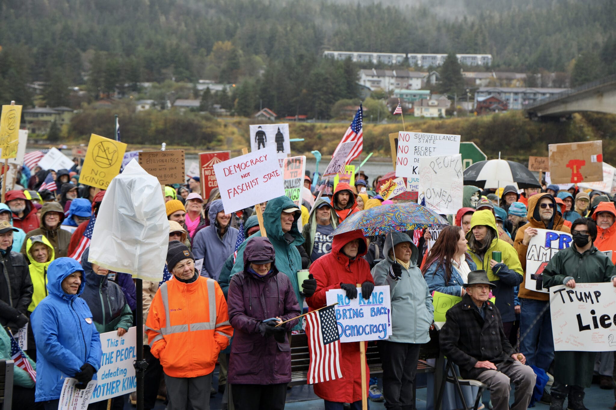 Protesters in Juneau decry Trump administration policies at weekend 'No ...