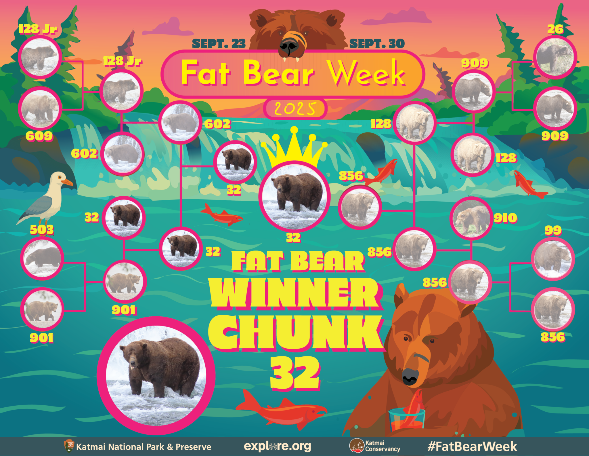 Fat Bear Week crowns its 2025 winner: 32 Chunk the Champ